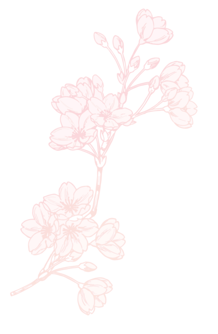 日本製腕時計『SAKURA TIME』